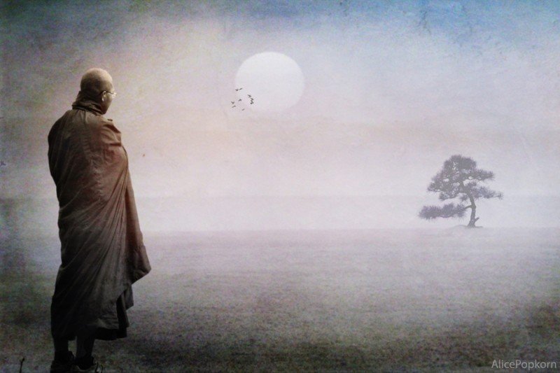 At the Feet of the Rishis – The Dawn Within