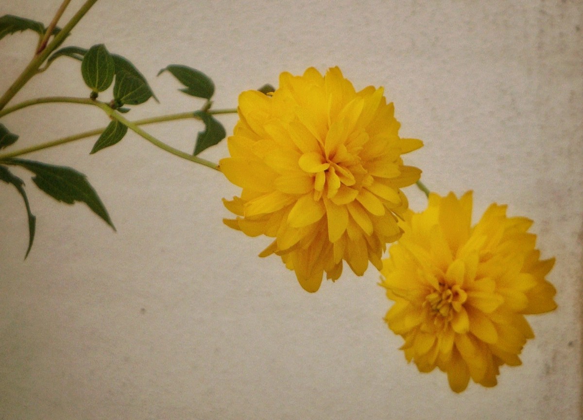 A Disencumbered Now – The Dawn Within