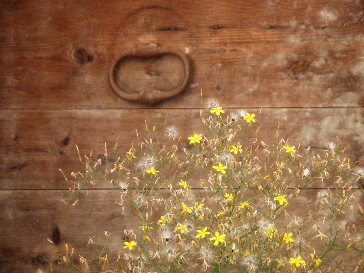 Unto the Ages of Ages – The Dawn Within